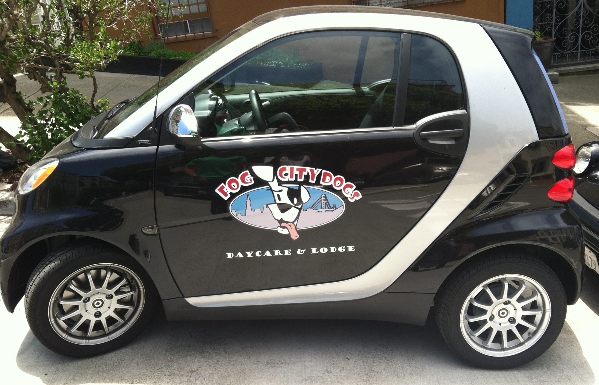 Fog City Grooming Smart Car Wraps – Custom Vehicle Wraps